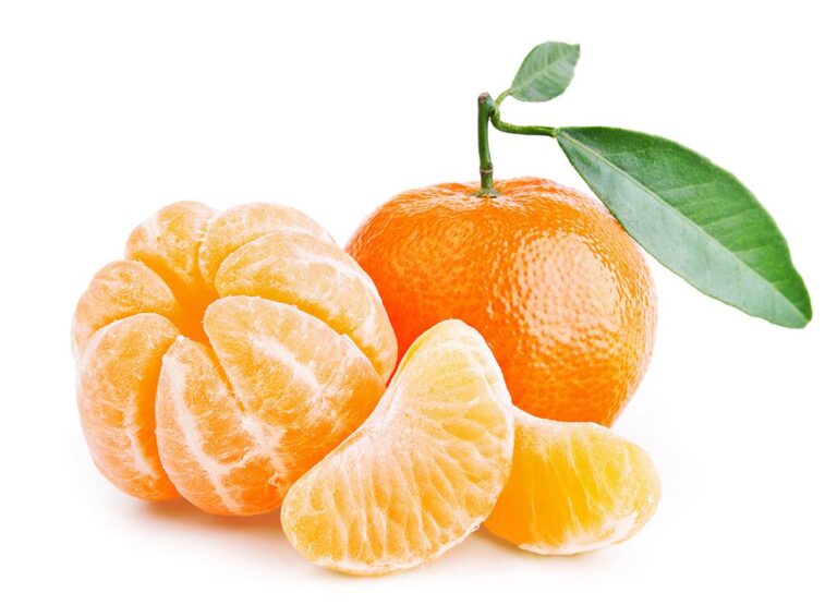 Mandarin Wholesale - Al Remas Trades | Egyptian Agriculture Product ...